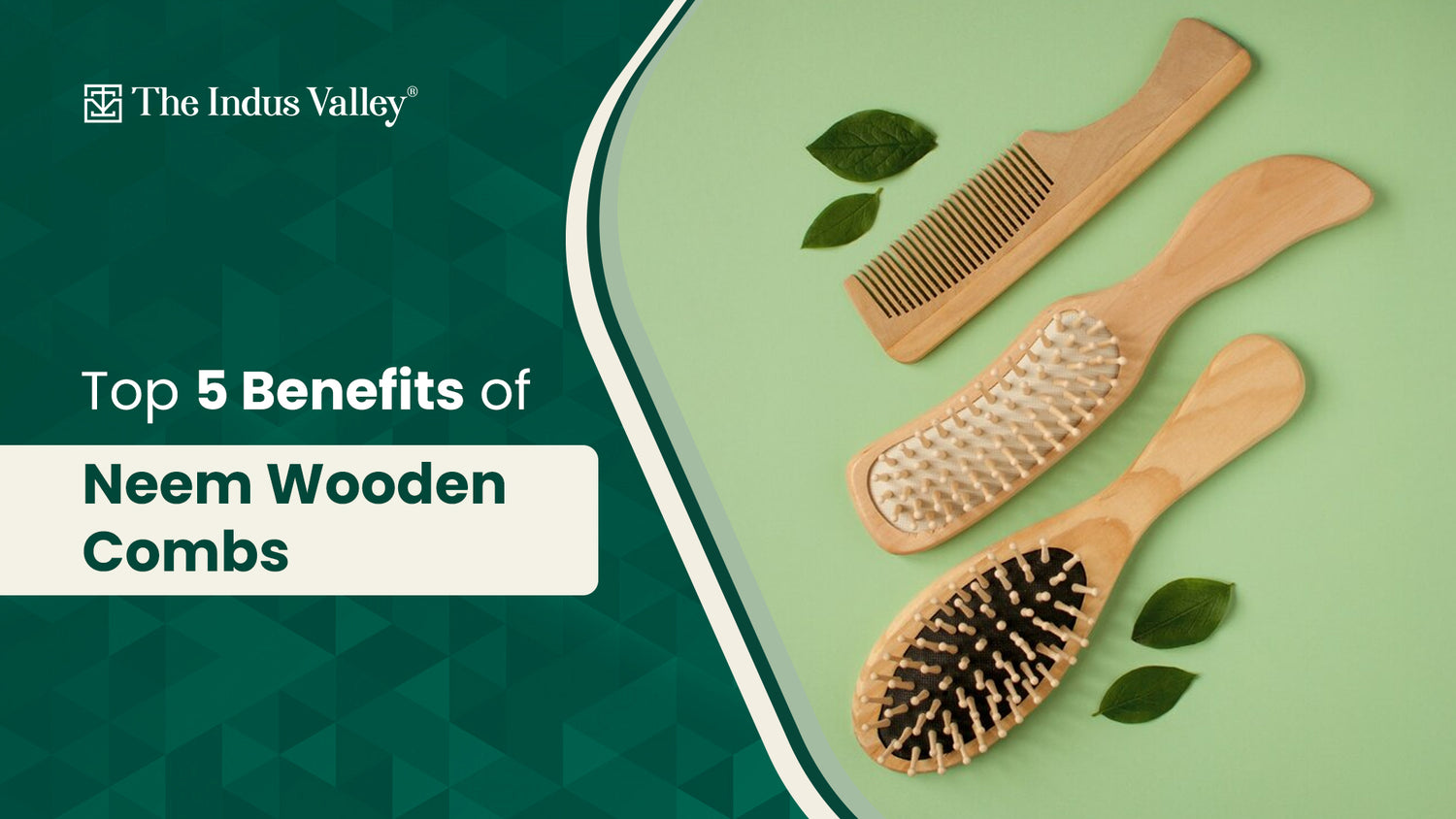 TOP 5 Benefits of Neem Wooden Combs | The Indus Valley